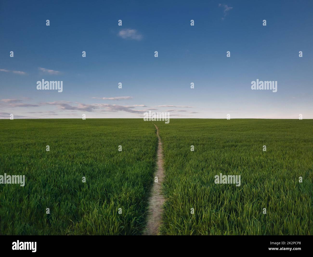 Field pathway hi-res stock photography and images - Alamy