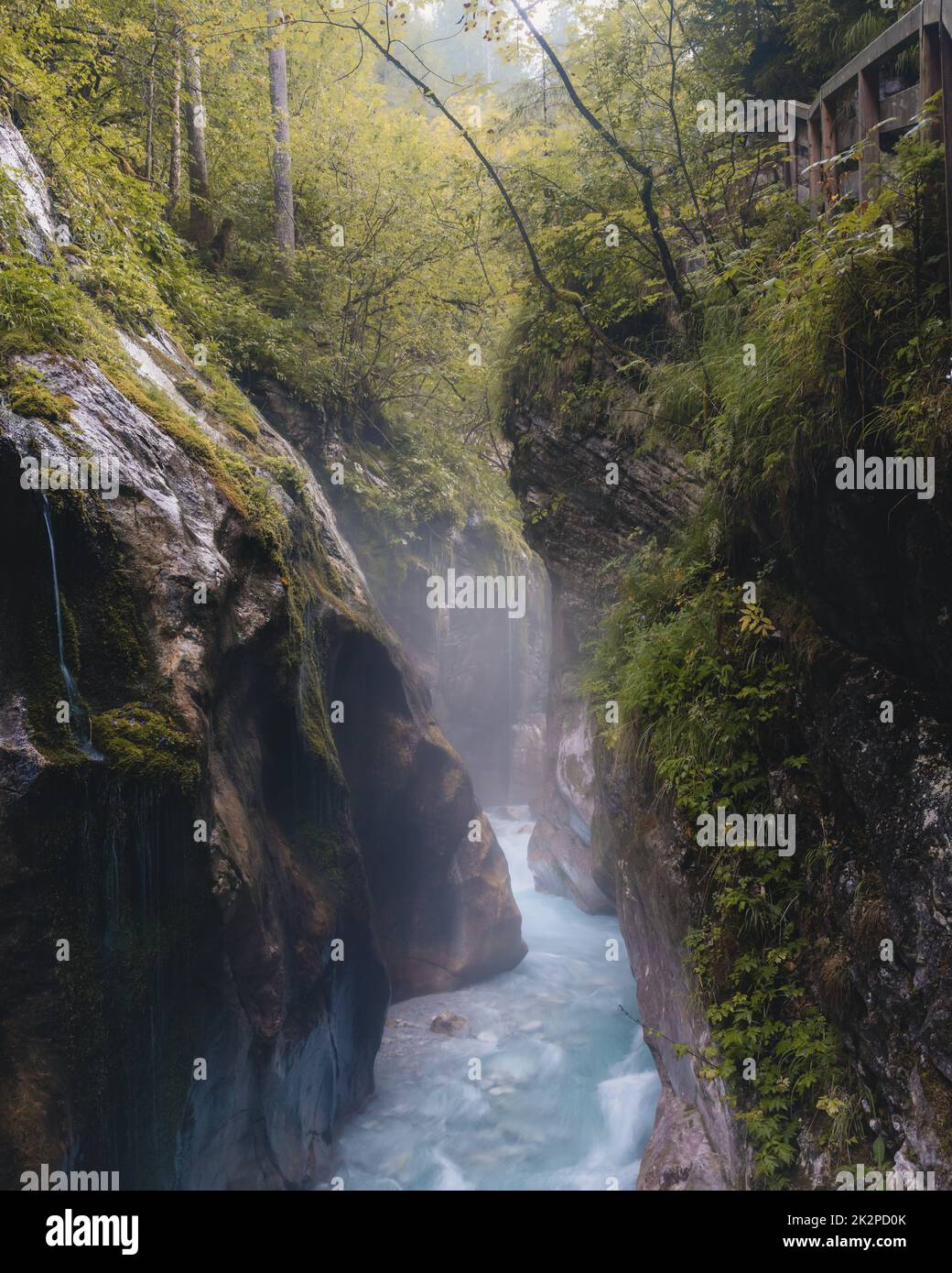 A vertical shot of a narrow river between two hills in a green forest ...