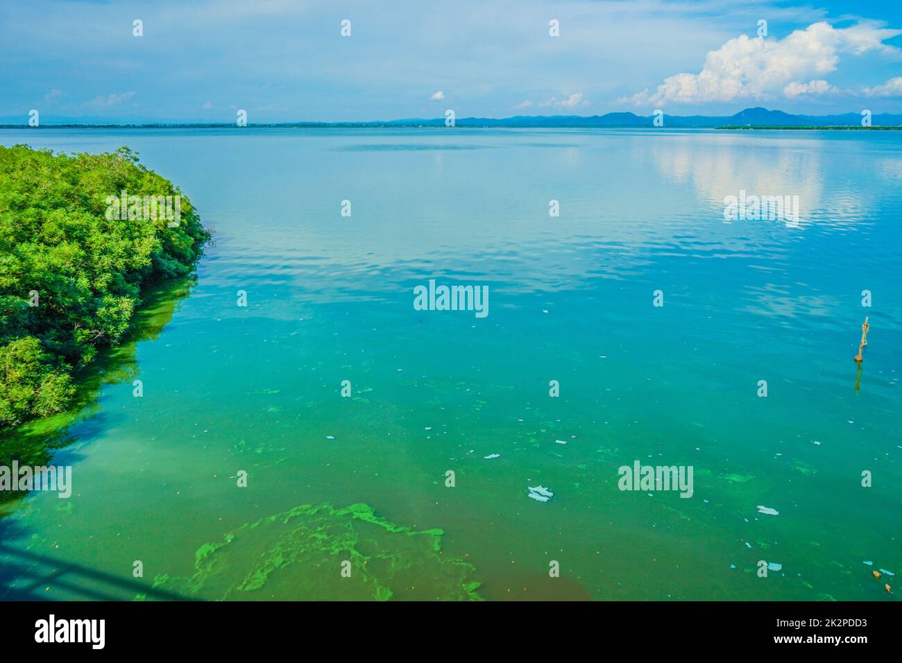 Hachirogata adjustment pond (Akita Prefecture Stock Photo - Alamy