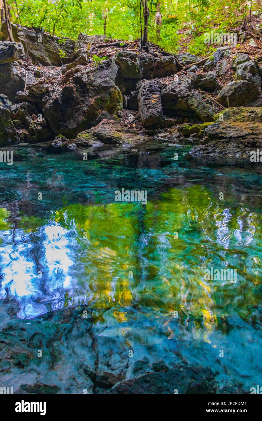 Blue turquoise water limestone cave sinkhole cenote in Chemuyil Mexico ...