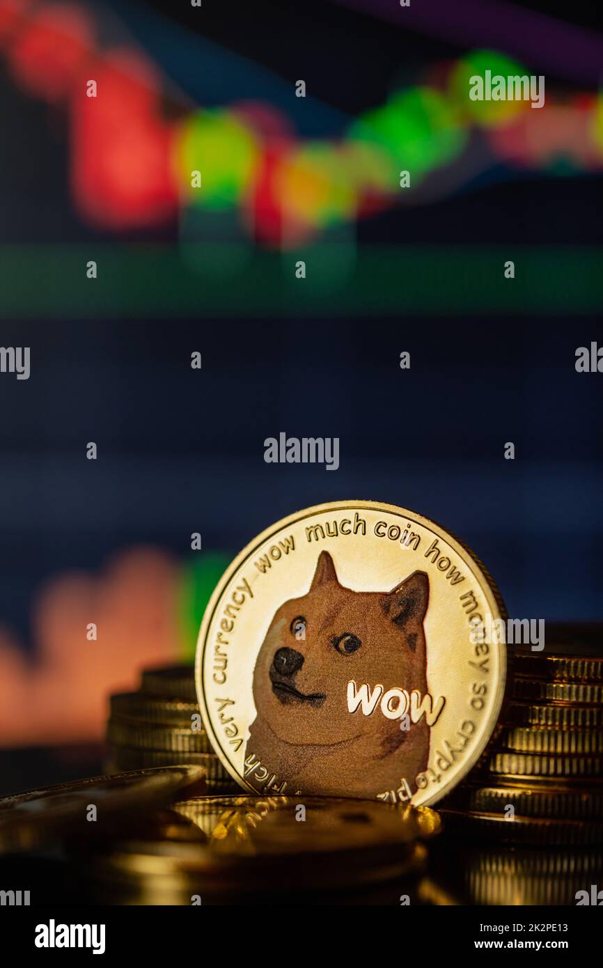 Gold Dogecoin with candle stick graph chart and digital background ...