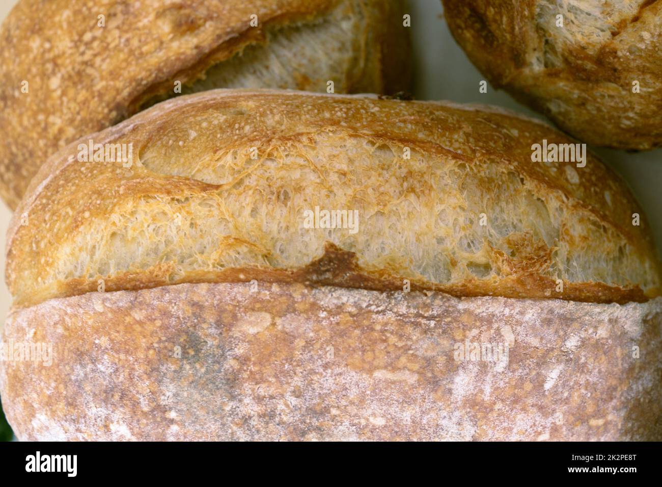 Bread close-up. Freshly baked sourdough bread with a golden crust . Concept bakery , texture ...