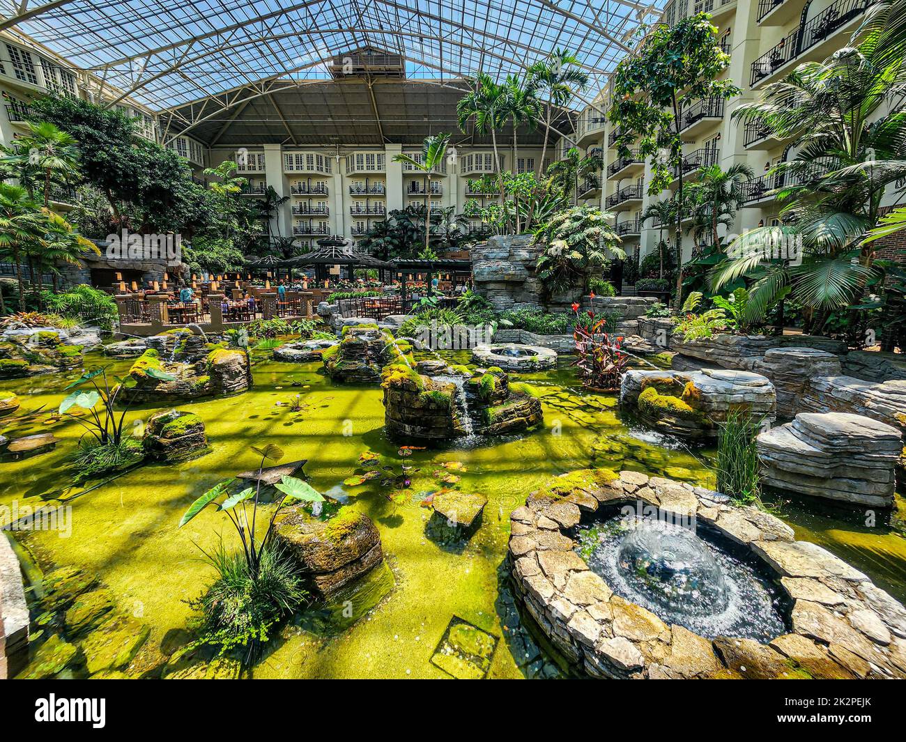 A beautiful park with diverse green plants, fountains on the green ...