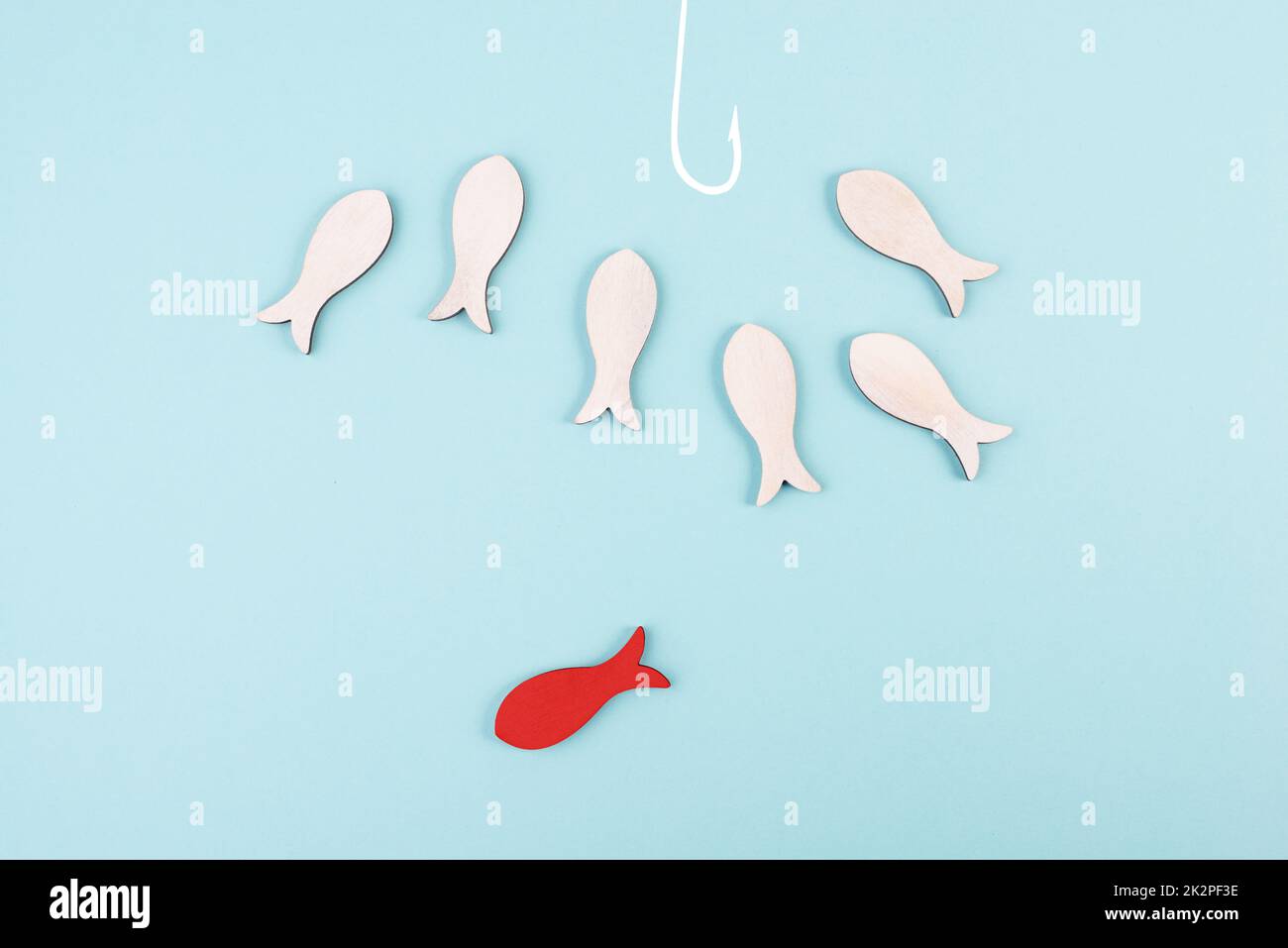 Group of fishes swimming to the fishing rod, red fish makes his own ...