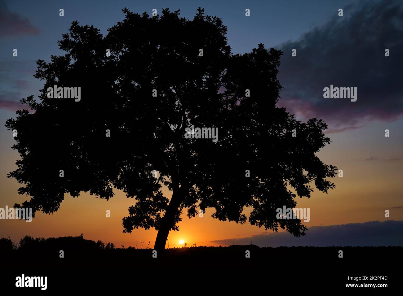 Sonnenuntergang daray hi-res stock photography and images - Alamy