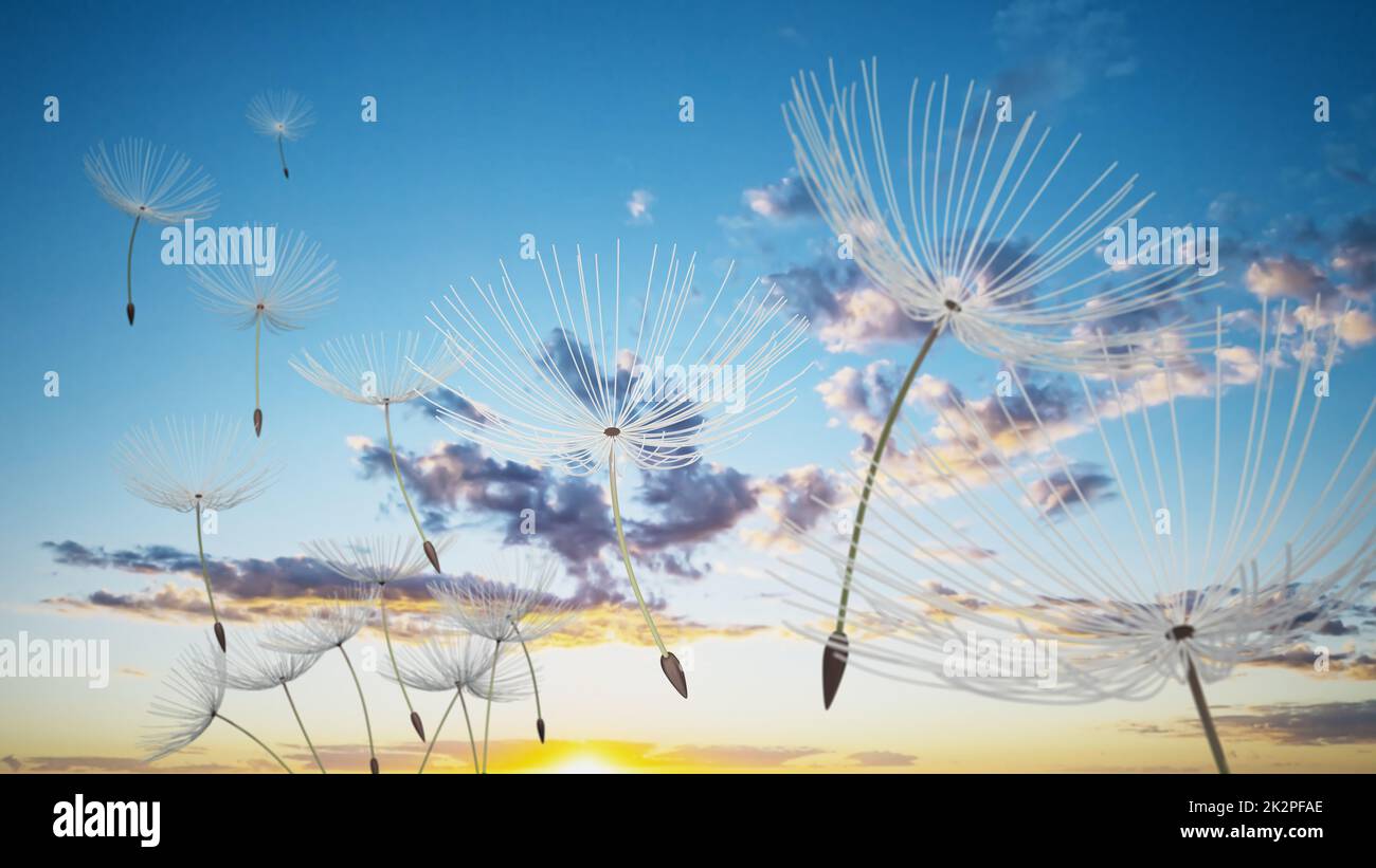 Dandelion leaves flying with the wind. 3D illustration Stock Photo - Alamy