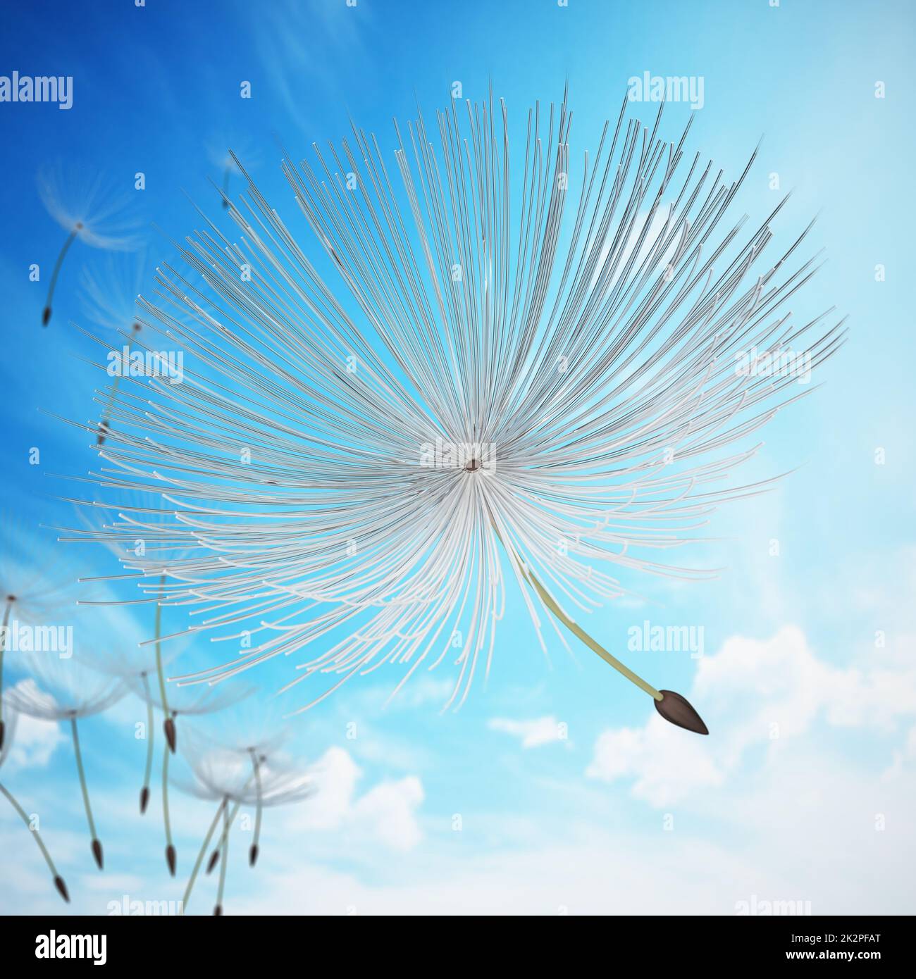 Dandelion leaves flying with the wind. 3D illustration Stock Photo - Alamy