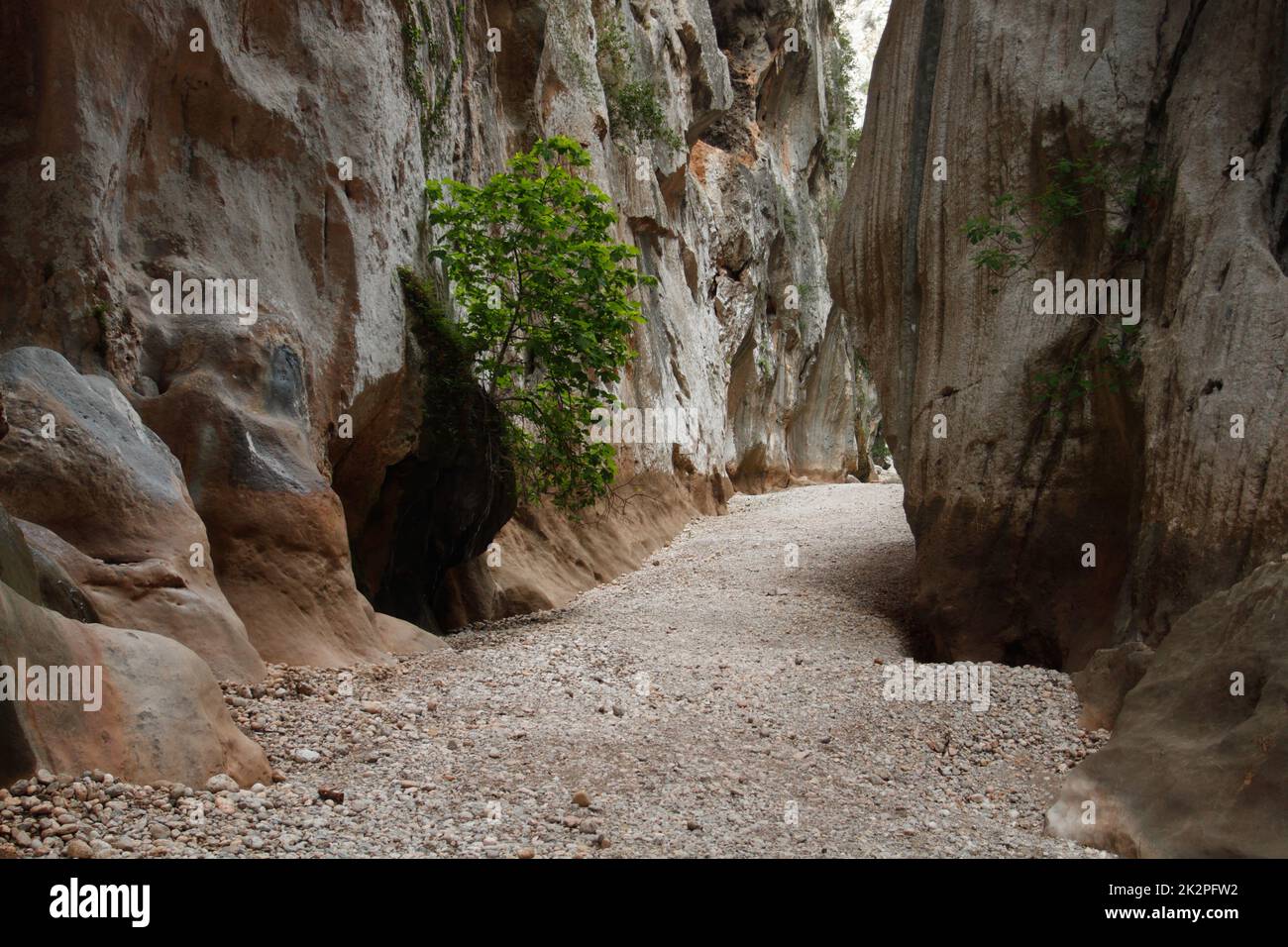 Torrent pro100 demo - liciouslasopa