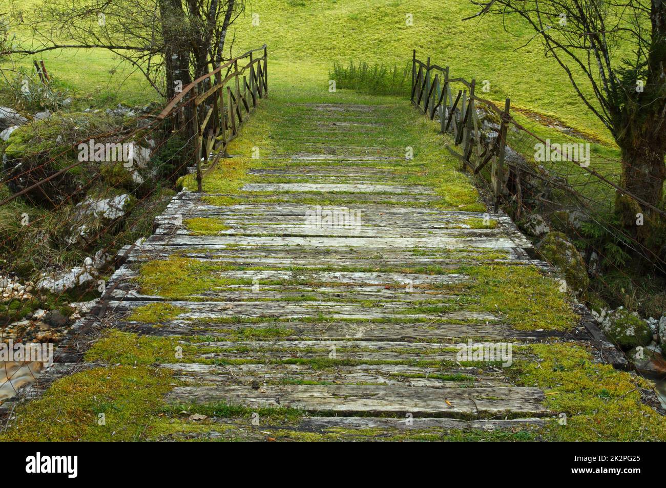 Moss covered bridge hi-res stock photography and images - Alamy