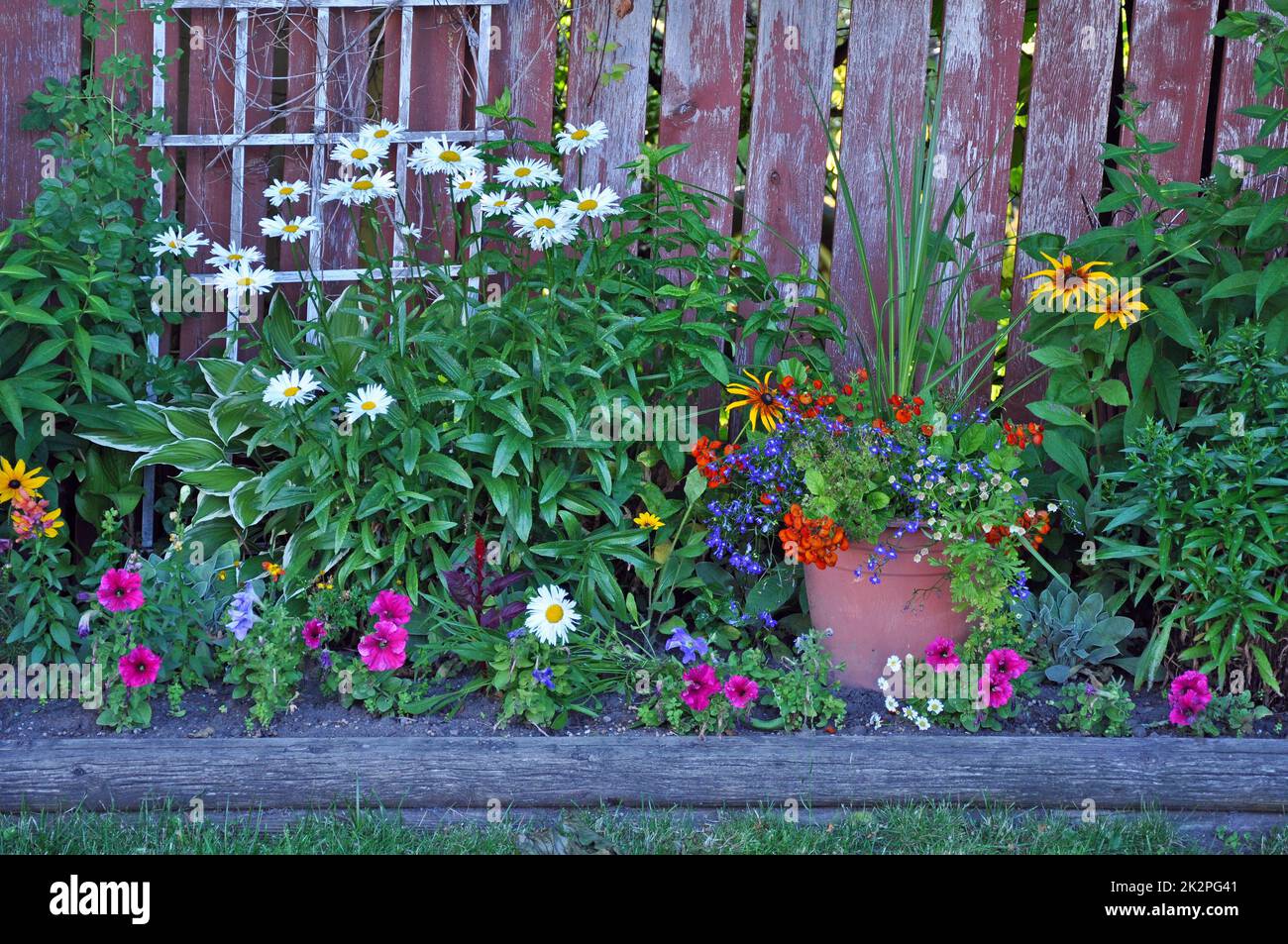 Summer and late summer flowers hi-res stock photography and images - Alamy