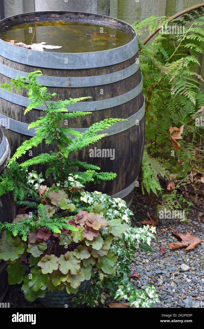 Old wooden garden barrel Stock Photo - Alamy
