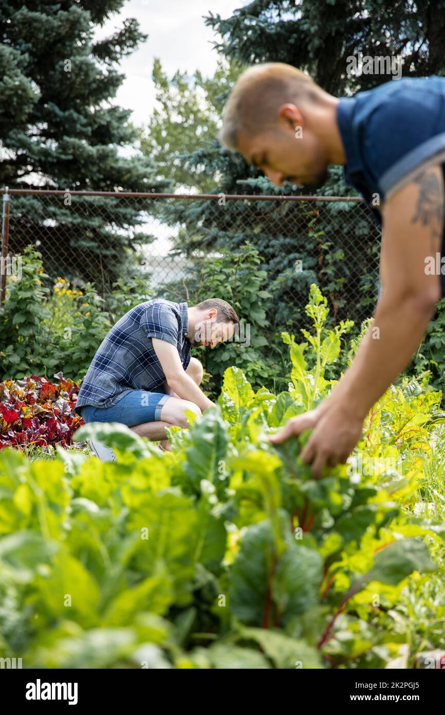 Community man hi-res stock photography and images - Alamy
