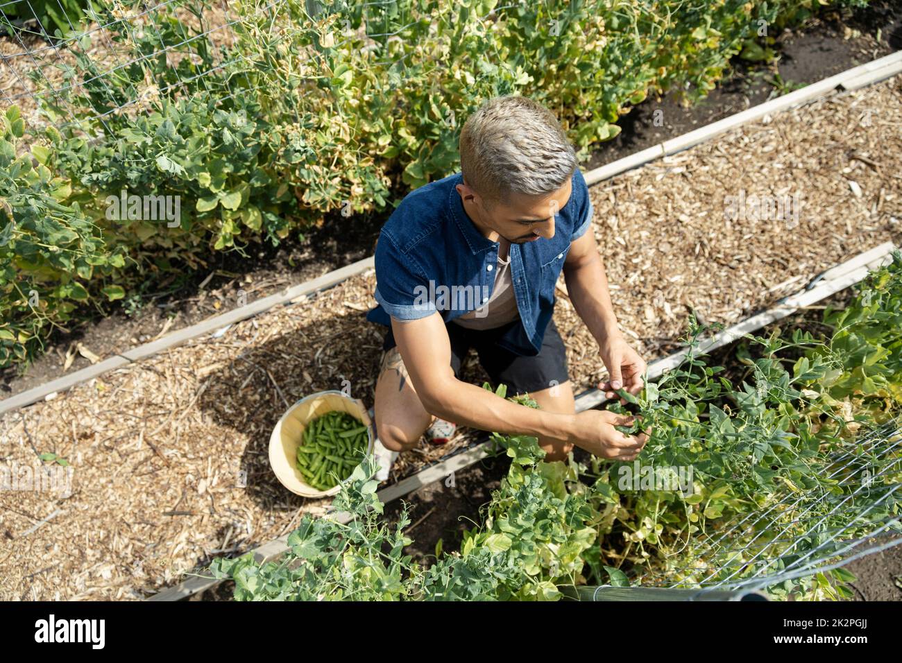 Overhead view man and nature hi-res stock photography and images - Alamy