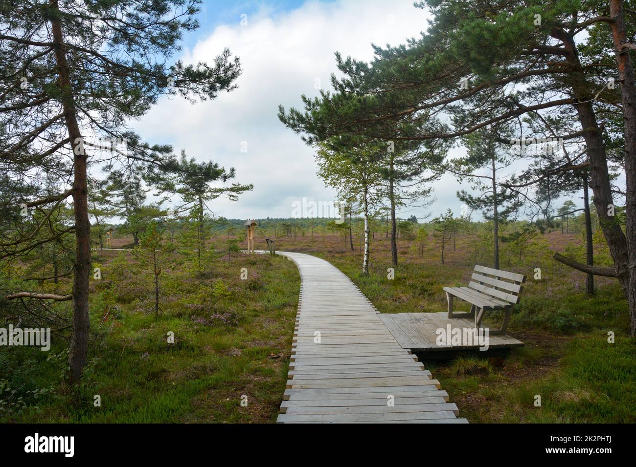Bench on the path in the Black Moor Stock Photo - Alamy