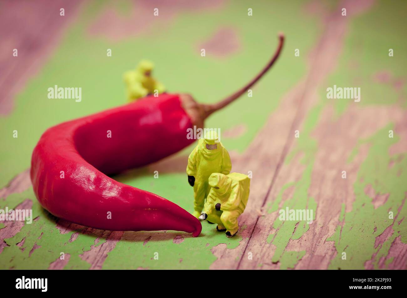 Group of people in protective suit inspecting chili pepper Stock Photo ...