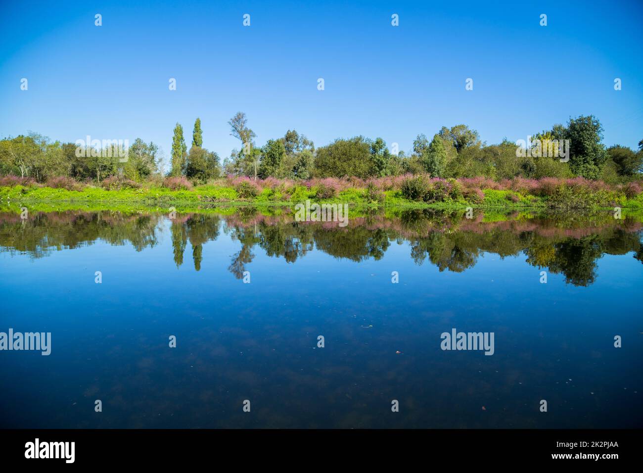 Minho river the natural border Stock Photo - Alamy