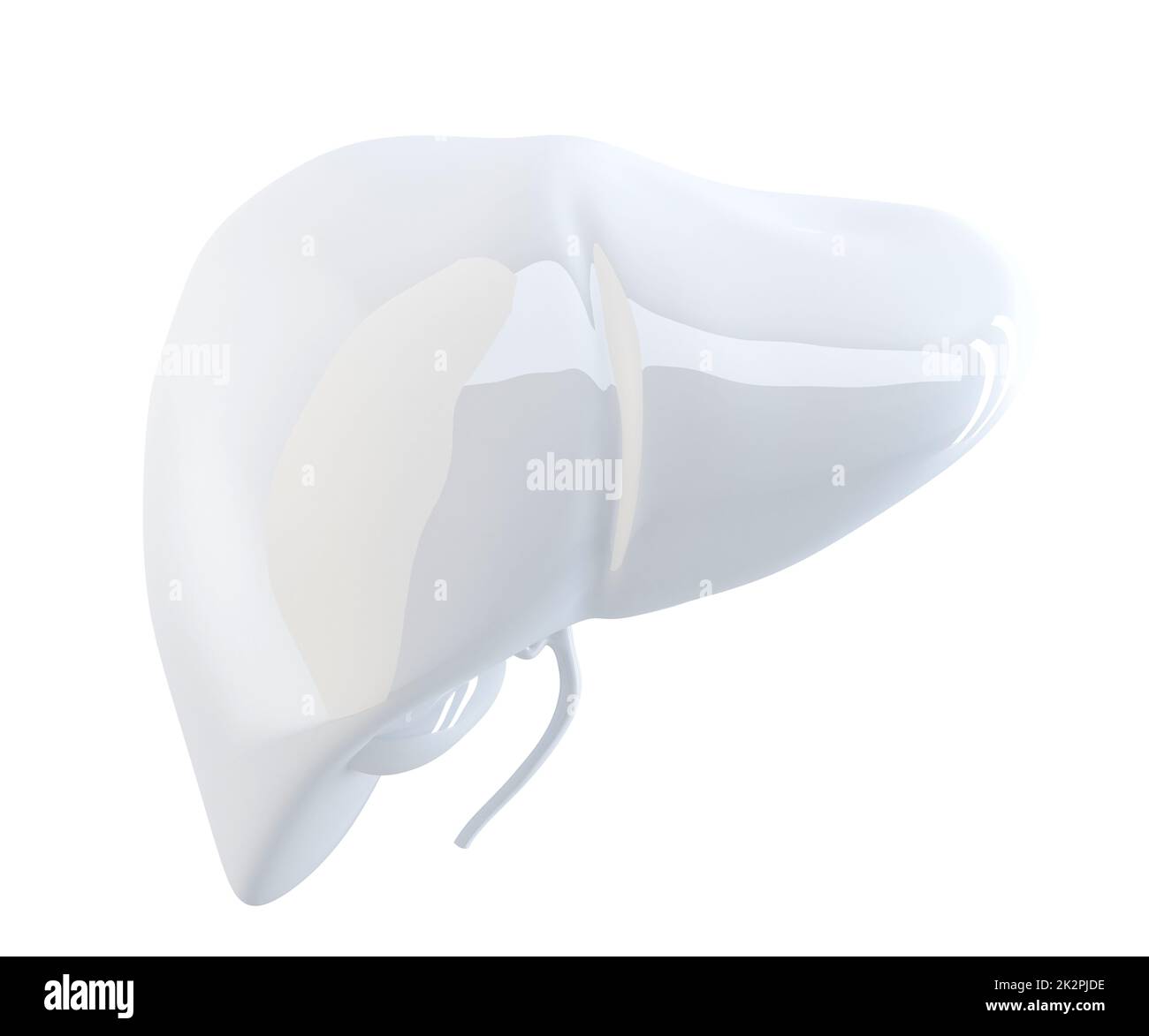 Human Liver. 3d render. Isolated, contains clipping path Stock Photo ...