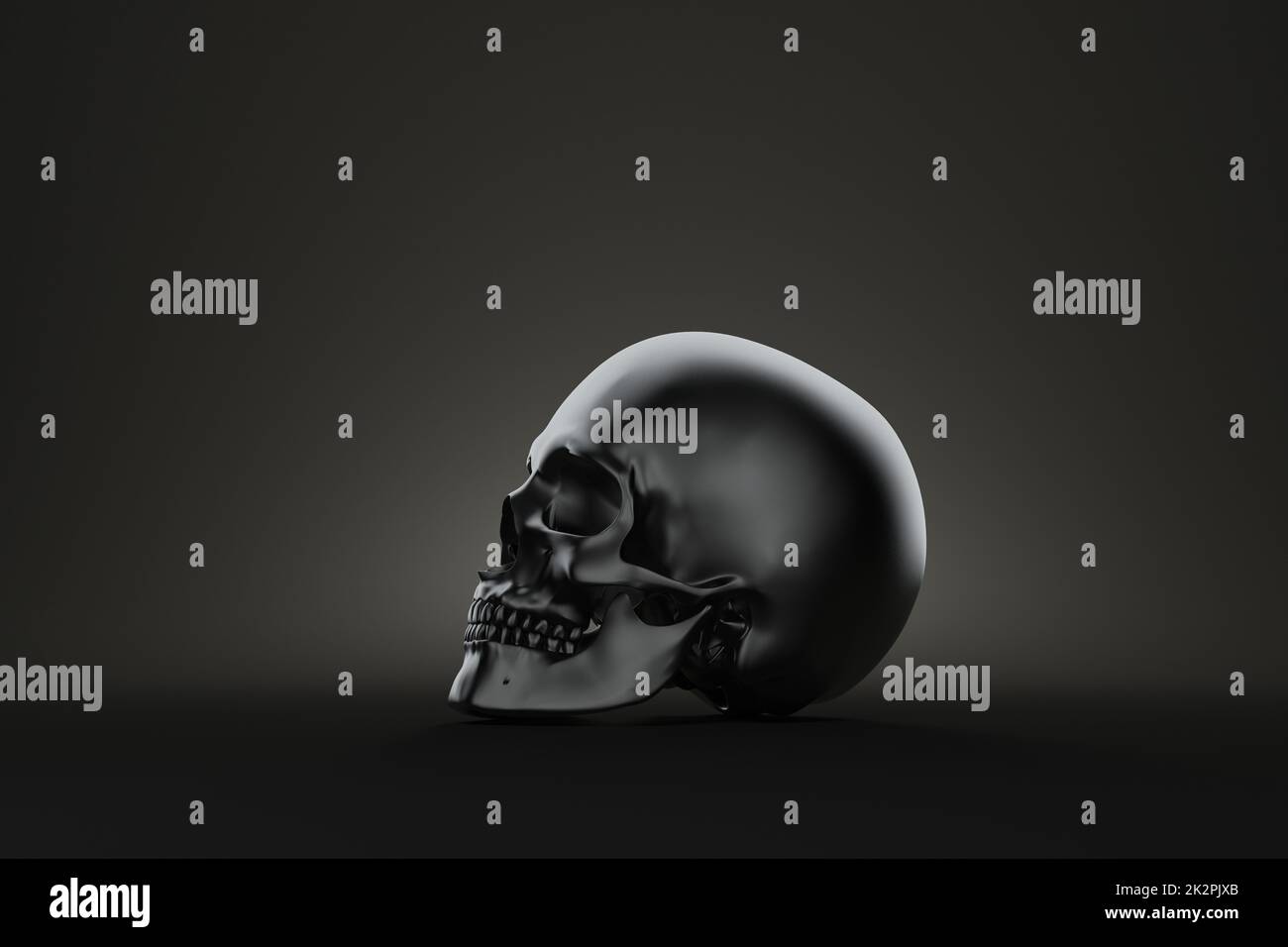 Still life human skull. Contains clipping path Stock Photo - Alamy