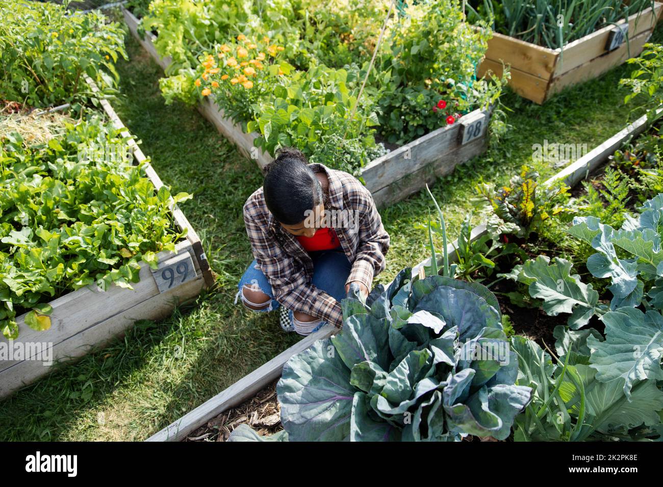 Directly above view teen girl hi-res stock photography and images - Alamy