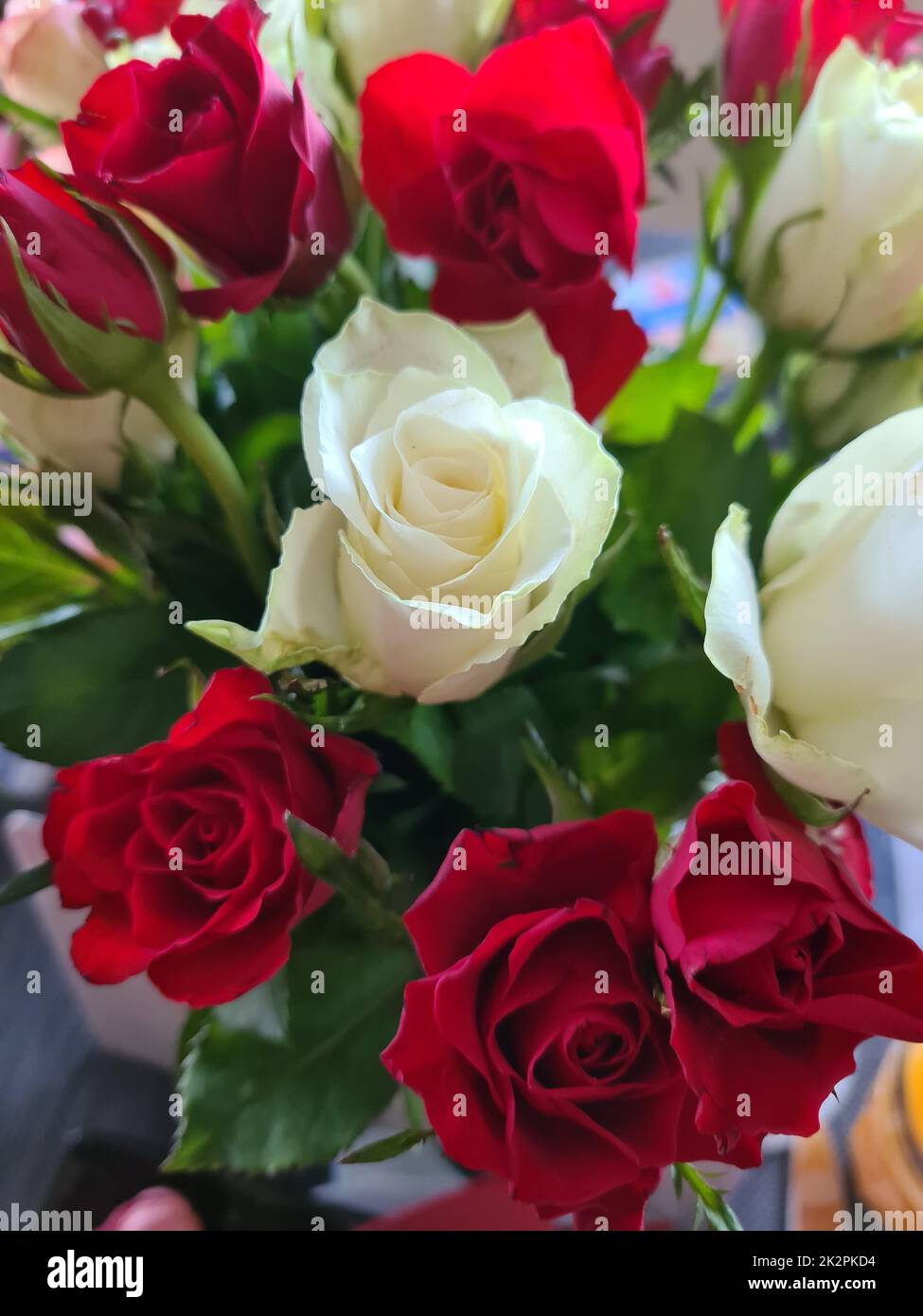 Beautiful bouquet red white roses hi-res stock photography and images - Alamy
