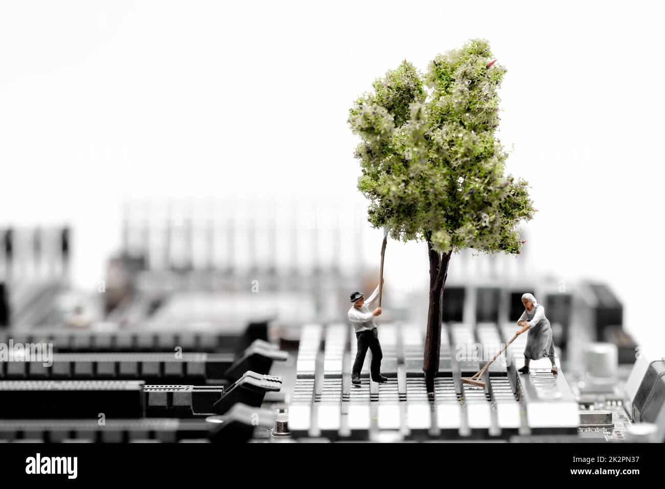 Farmers planting tree on circuit board. Environment concept Stock Photo ...