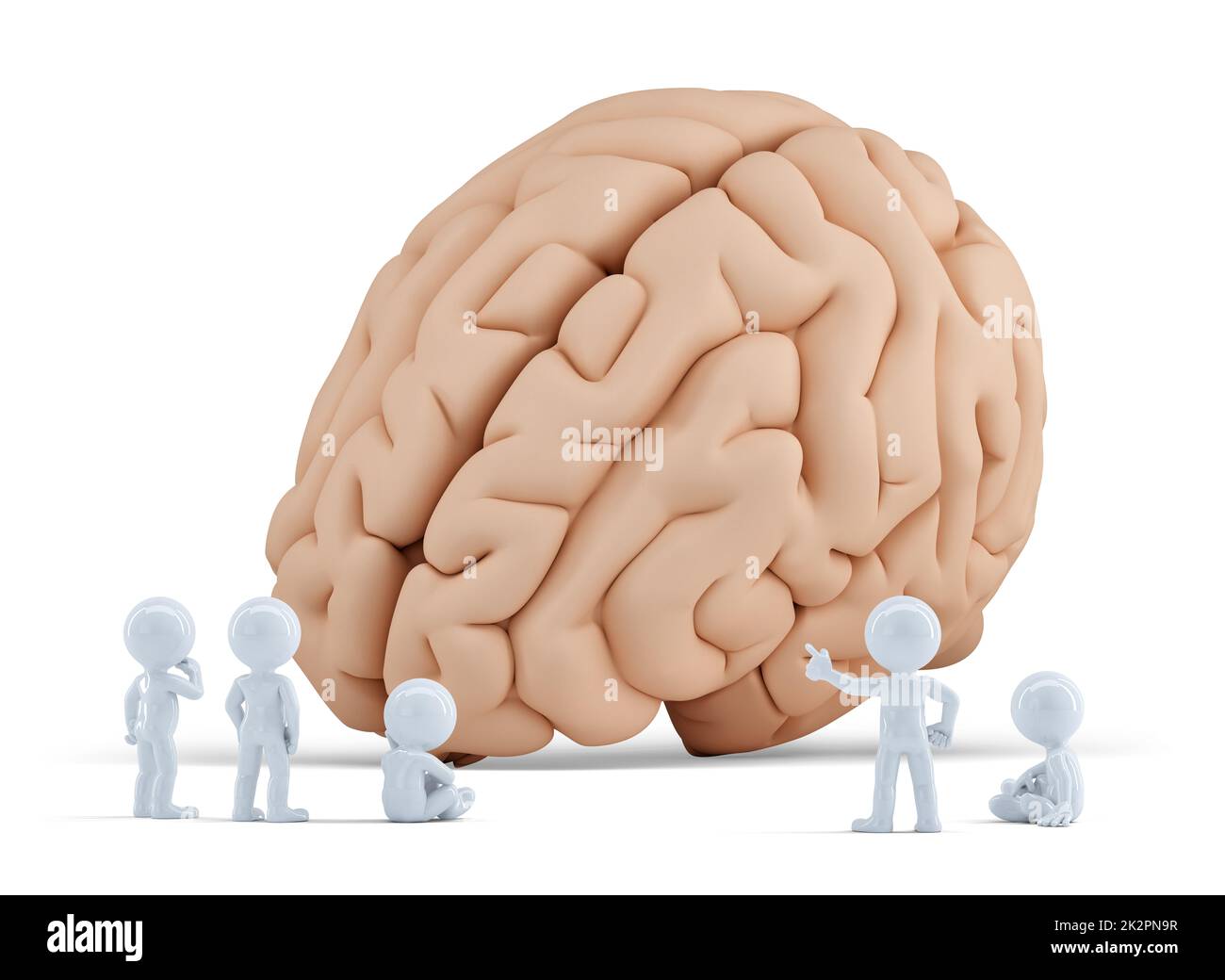 Little people arond giant brain. Isolated. Contains clipping path Stock ...