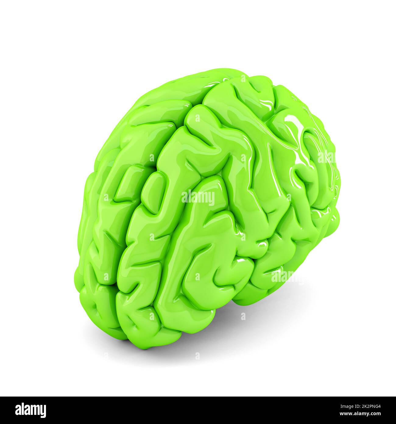 Green human brain close up. Isolate. Contains clipping path Stock Photo ...