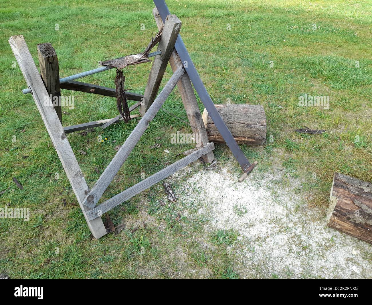 Sawing a tree trunk for a wedding, tradition for bridal couples with ...
