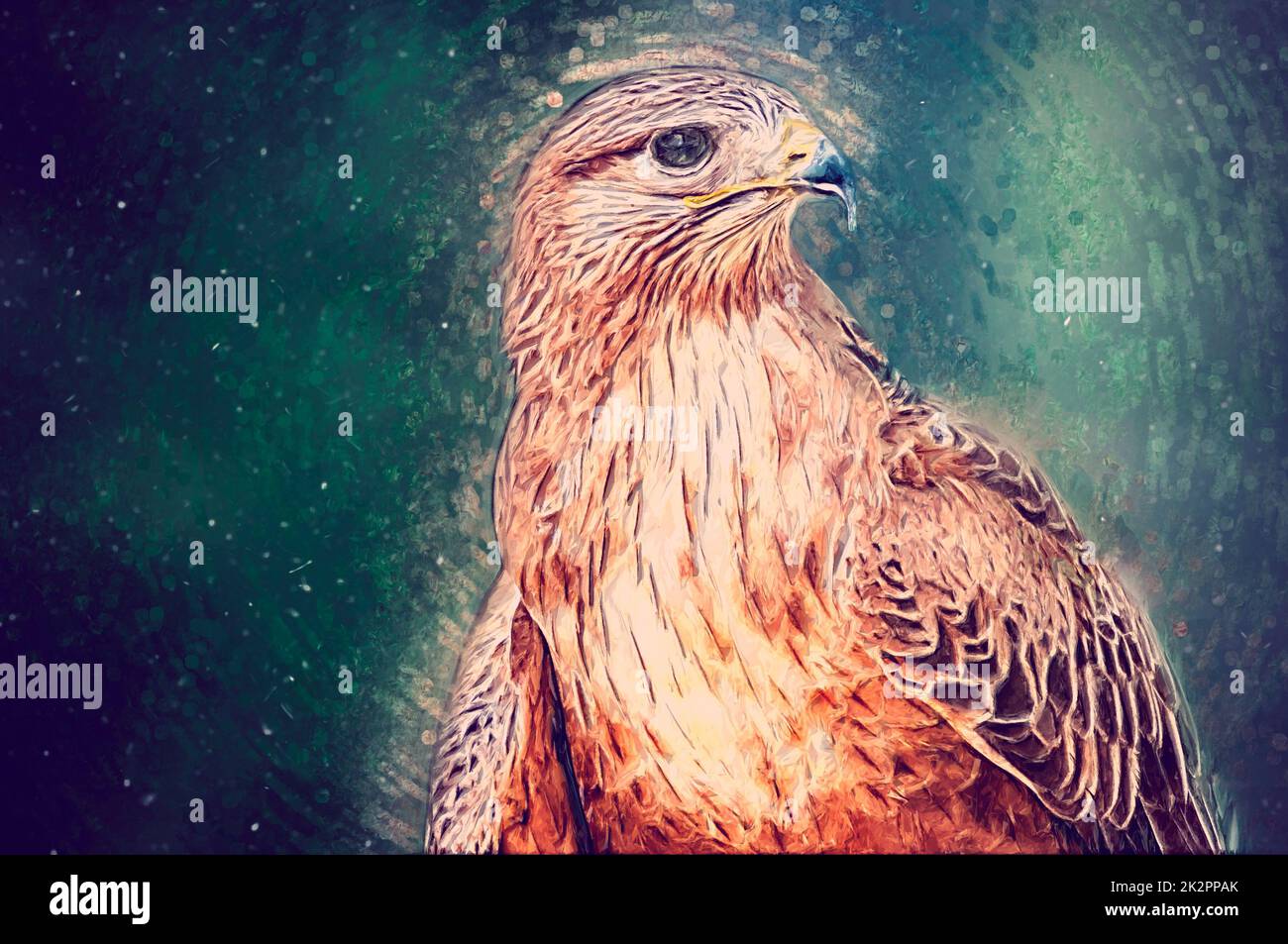 Hawk sketch portrait Stock Photo - Alamy