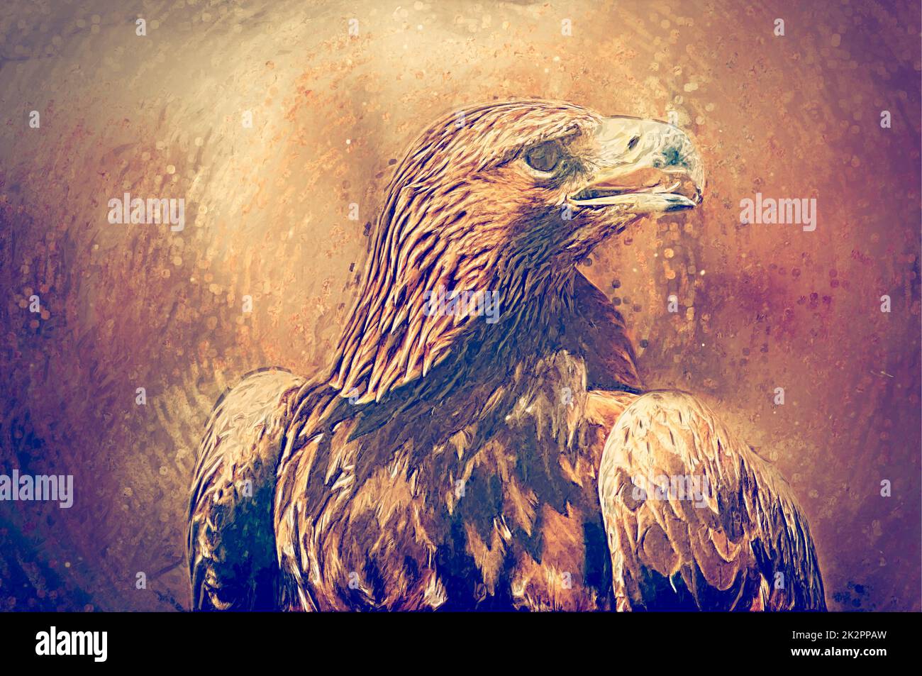 Hawk portrait. Drawn illustration Stock Photo - Alamy