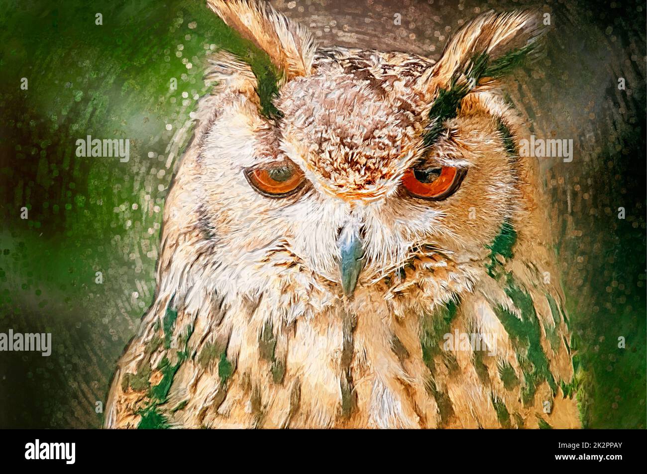 Drawn Owl Portrait Stock Photo - Alamy