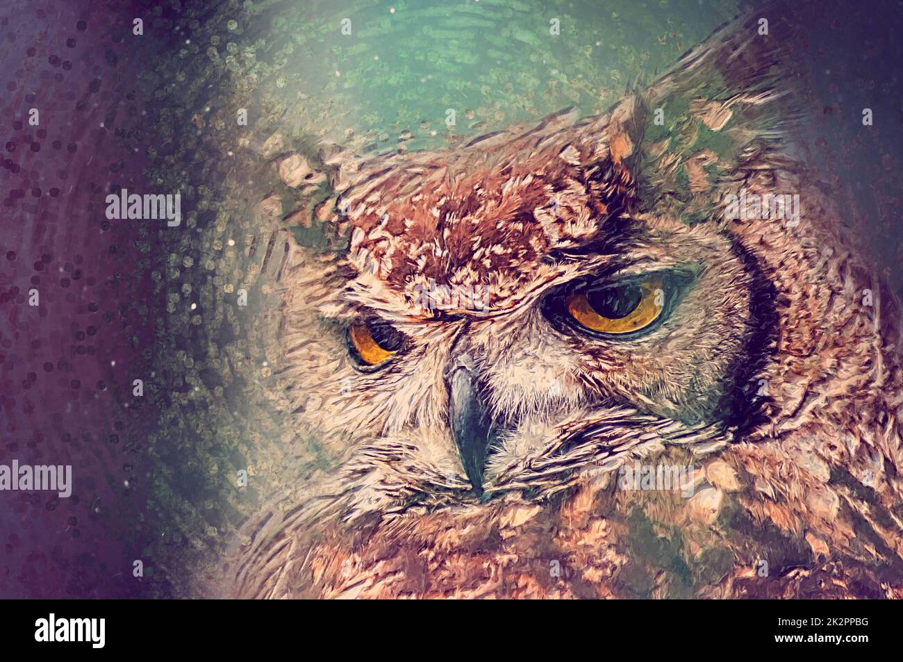 Drawing of an owl hi-res stock photography and images - Alamy