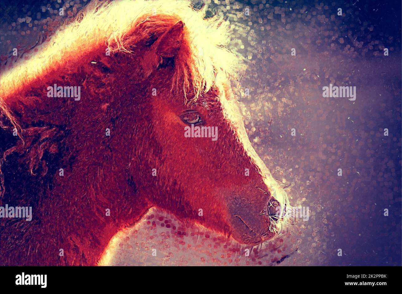 Pony portrait. Digital drawing Stock Photo - Alamy