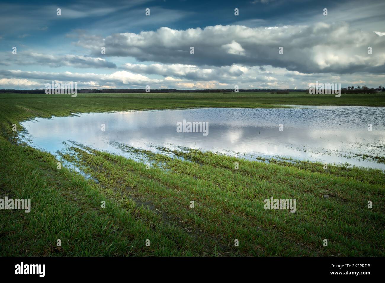 A huge puddle of rainfall in the farmland Stock Photo - Alamy