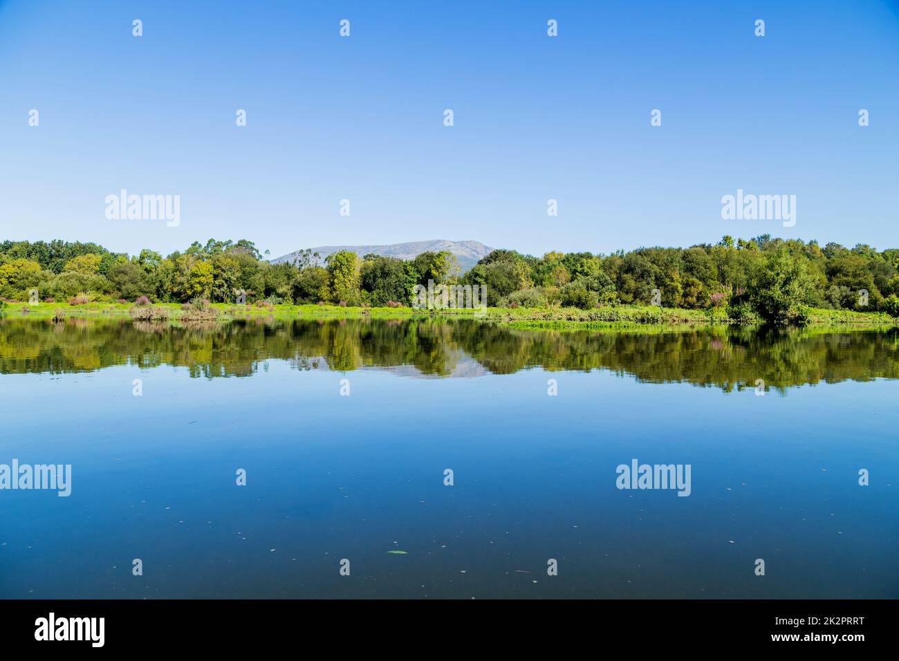 Natural border hi-res stock photography and images - Alamy