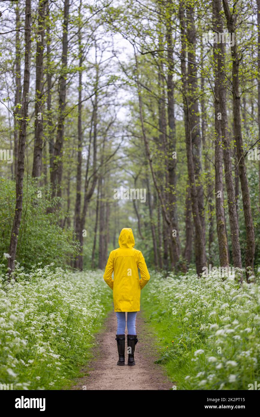 Young woman with yellow raincoat and rubber boots in spring nature ...