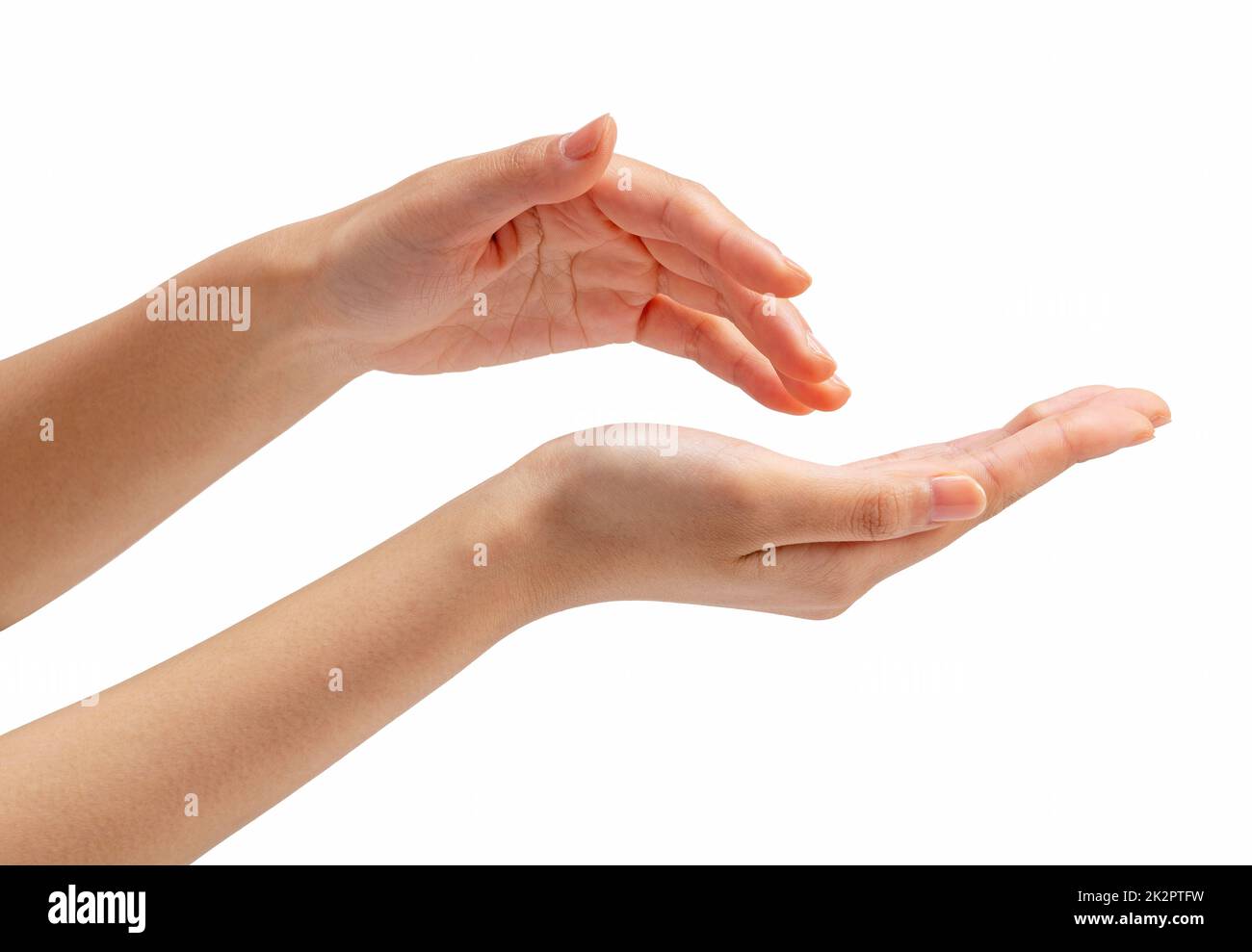 Beautiful female hands on white background Stock Photo - Alamy