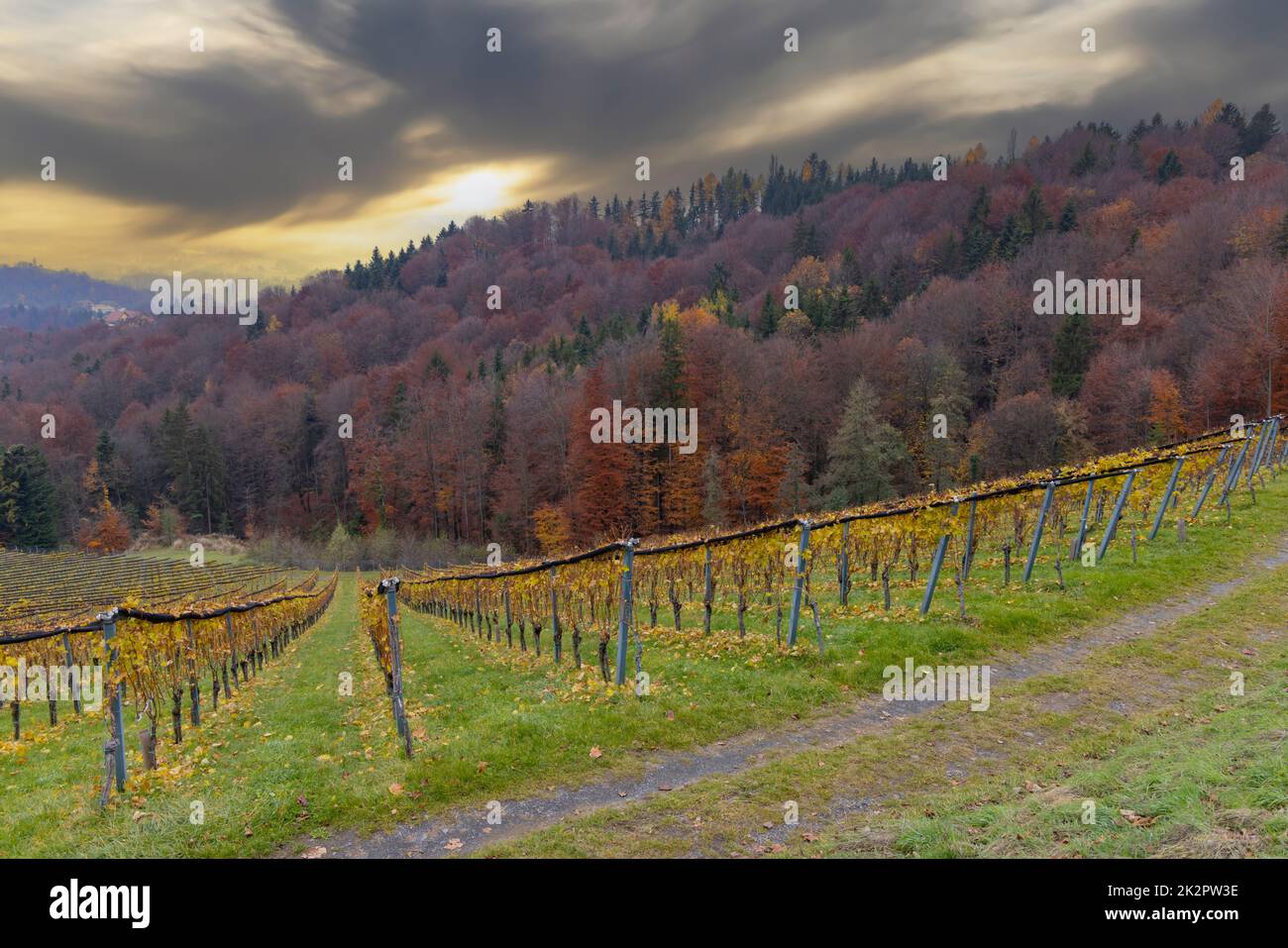 Kitzeck in the sausal hi-res stock photography and images - Alamy