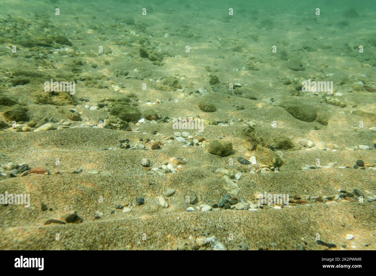 Underwater photo, sea bottom surface, sand with small rocks. Abstract ...