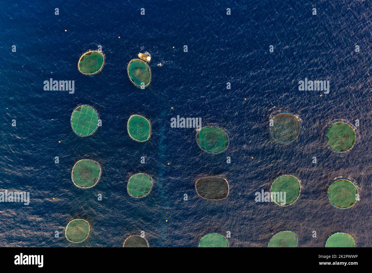 Overhead view of fish farms on the sea Stock Photo - Alamy