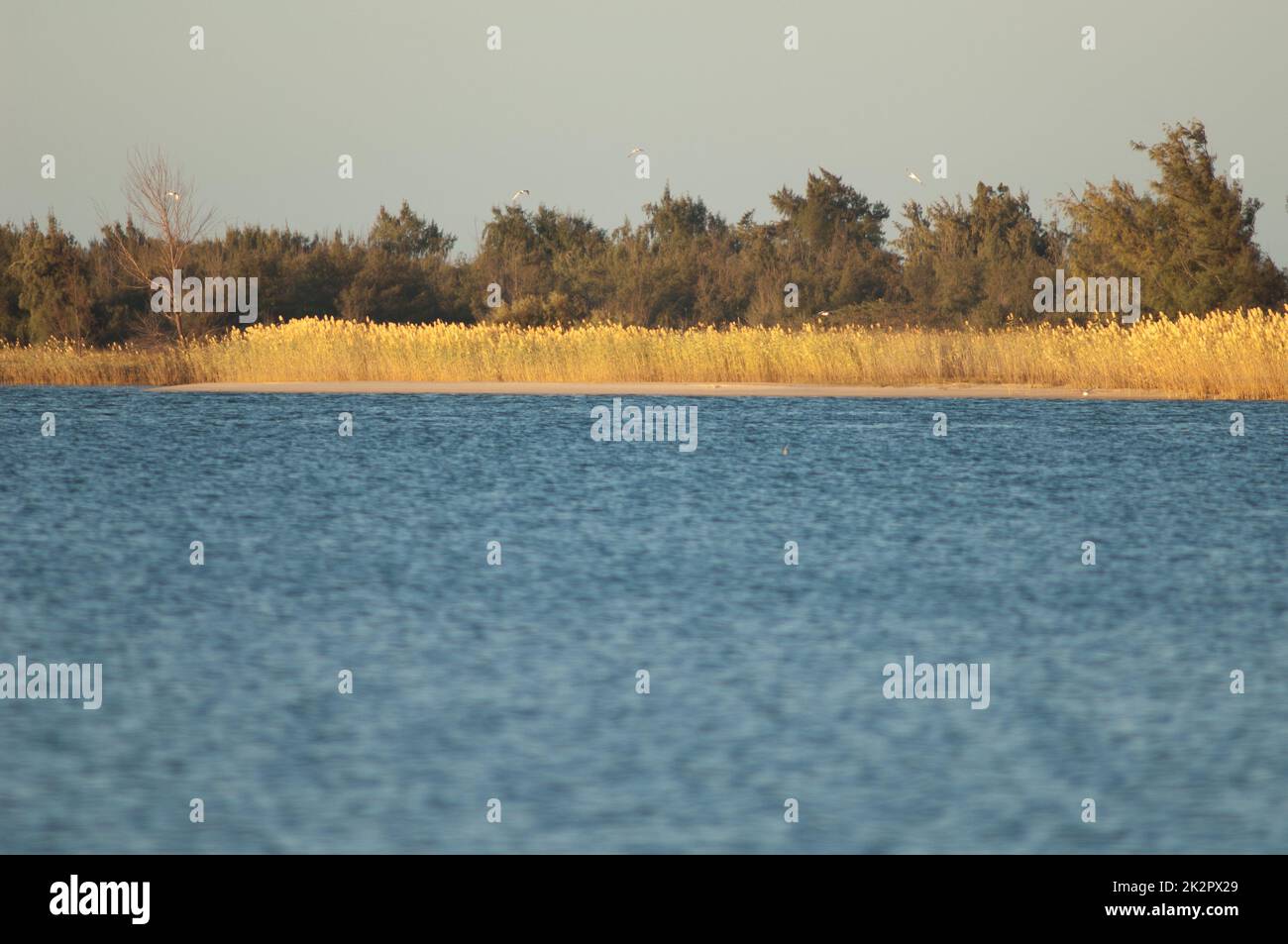 Senegal national park hi-res stock photography and images - Alamy