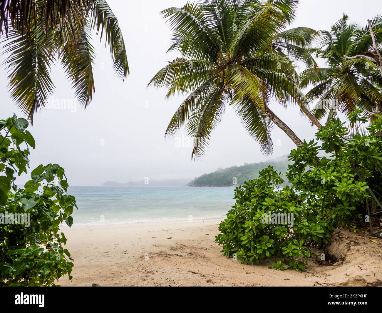 Seychelles, Mahe - Tropical Storm at the Anse Takamaka Stock Photo - Alamy