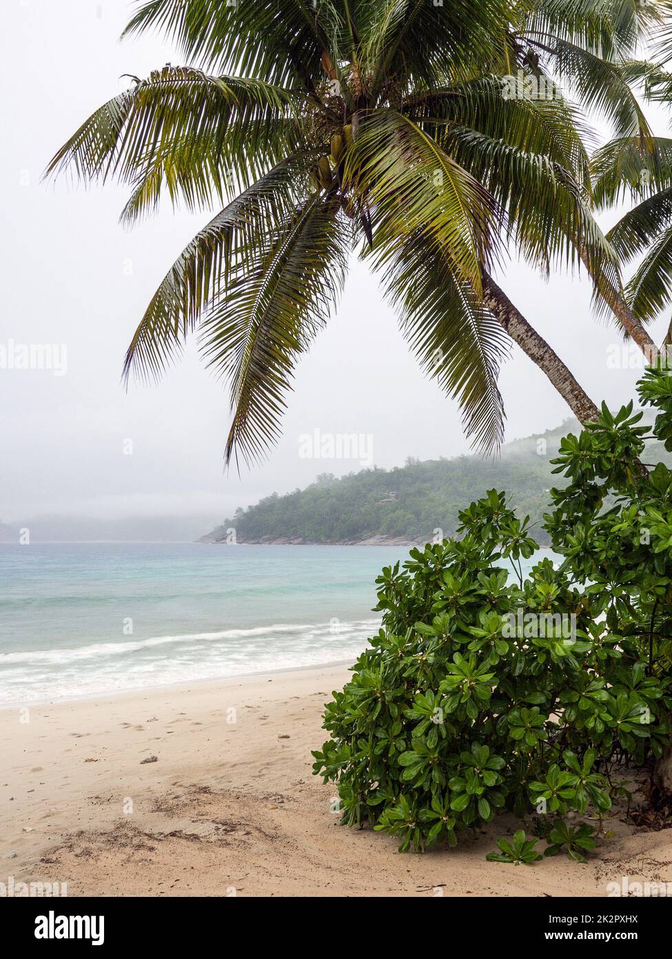 Seychelles, Mahe - Tropical Storm at the Anse Takamaka Stock Photo - Alamy