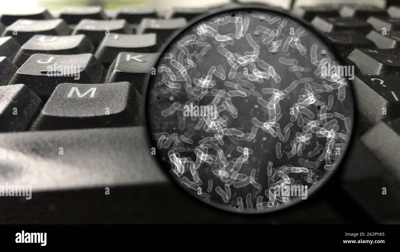 Searching for bacteria on computer keyboard Stock Photo - Alamy