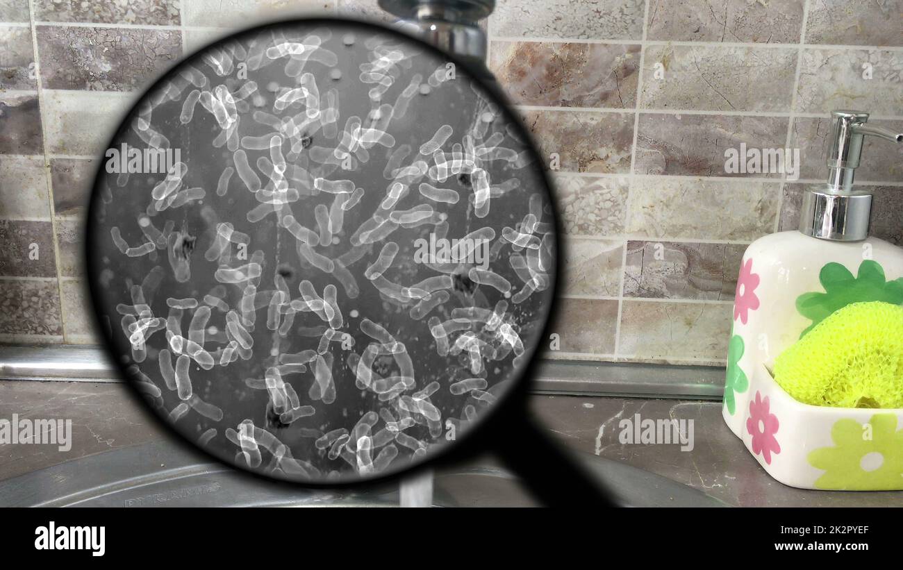 Searching for bacteria in kitchen Stock Photo - Alamy