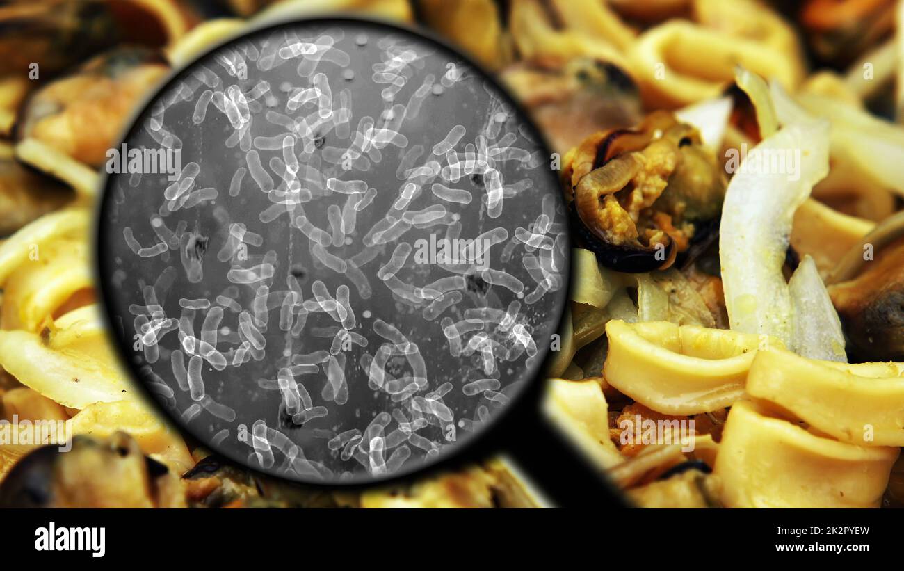 Searching for bacteria in sea food Stock Photo - Alamy