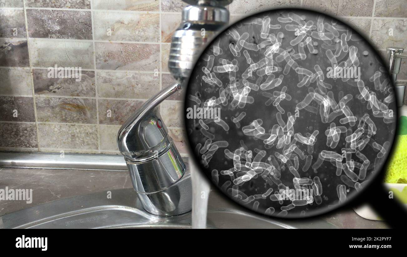 Searching for bacteria in kitchen Stock Photo - Alamy