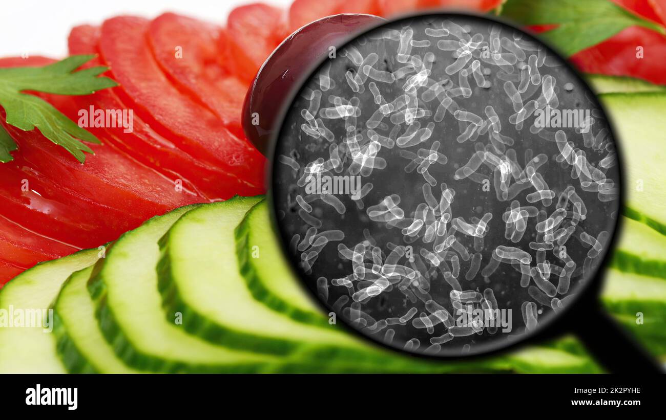 Searching for bacteria in vegetables Stock Photo - Alamy