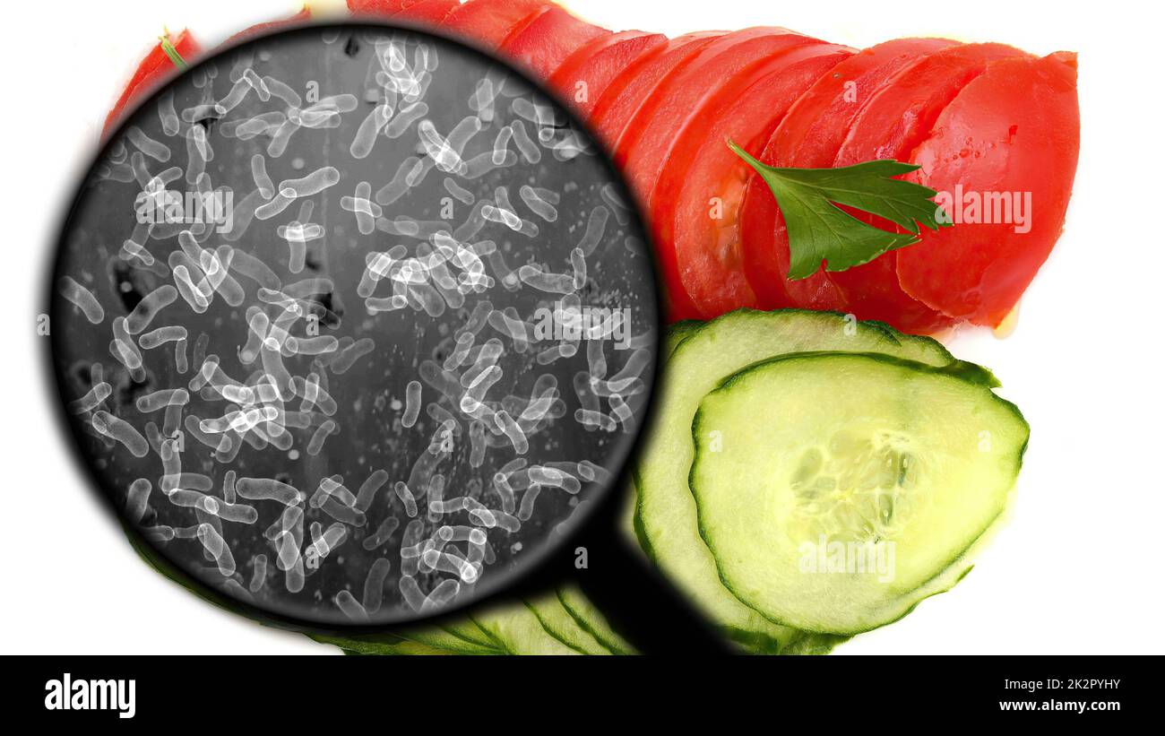 Searching for bacteria in vegetables Stock Photo - Alamy