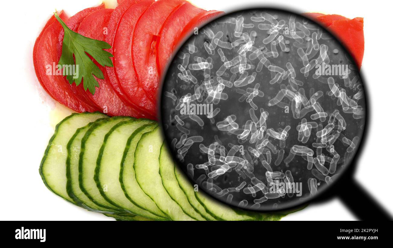 Searching for bacteria in vegetables Stock Photo - Alamy